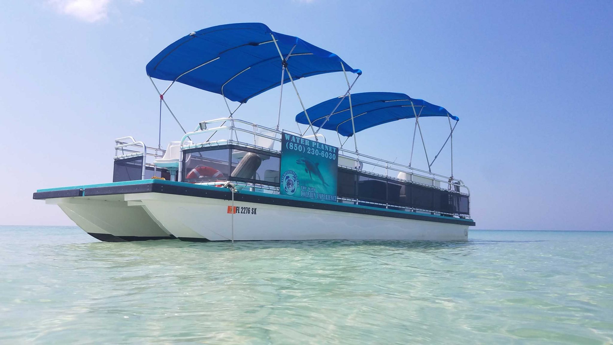 Water Planet → Swim with the Dolphins Panama City Beach, Destin, 30A FL